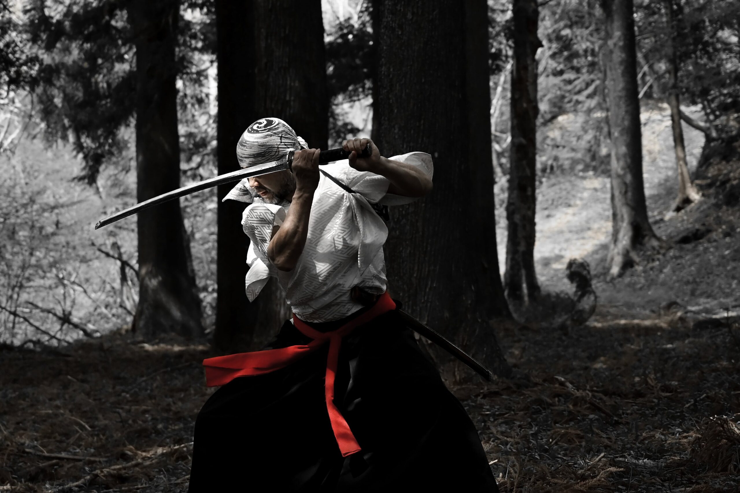 Portfolio - Samurai Artist KAMUI - Samurai Artist KAMUI