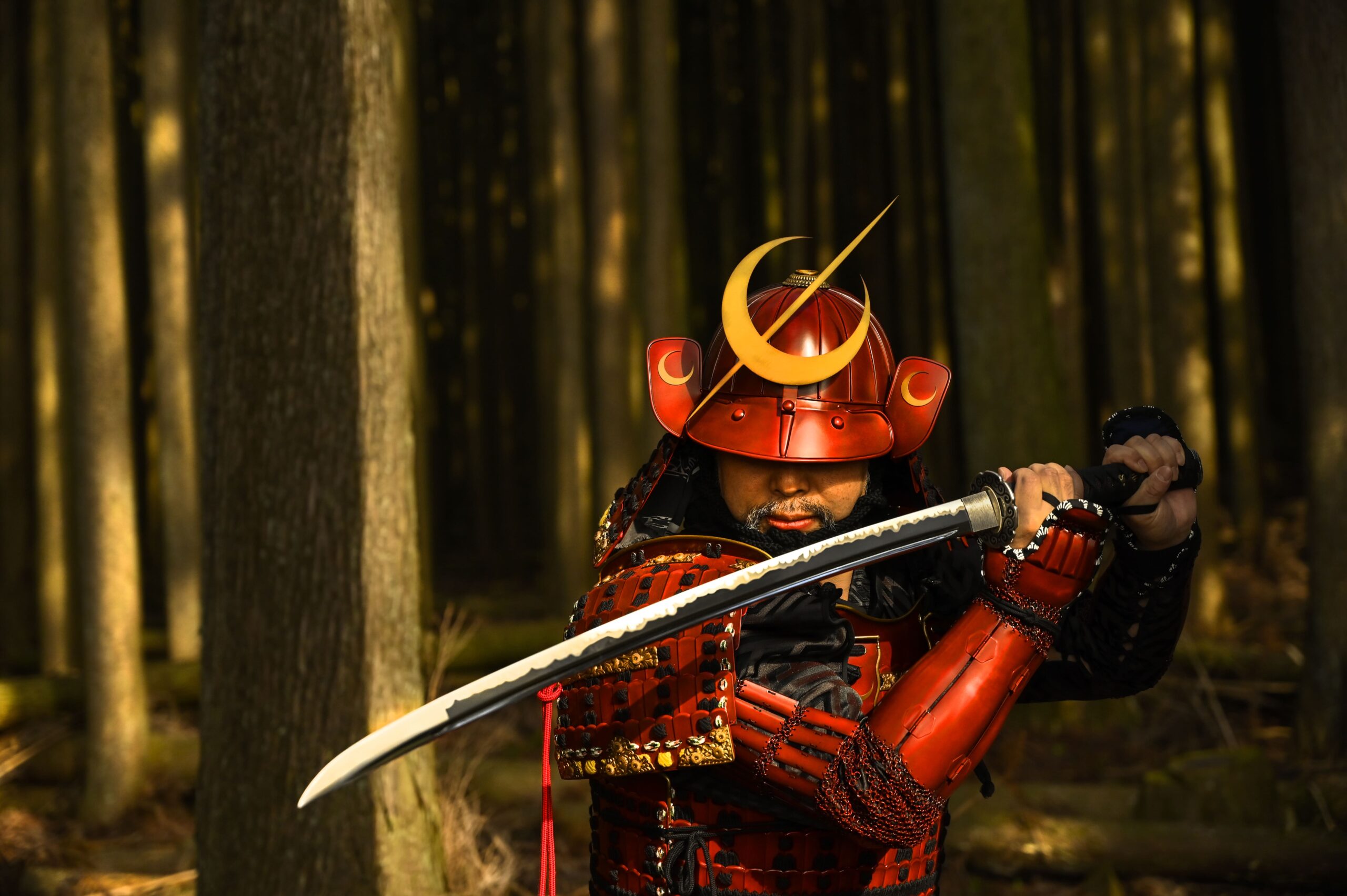 Portfolio - Samurai Artist KAMUI - Samurai Artist KAMUI