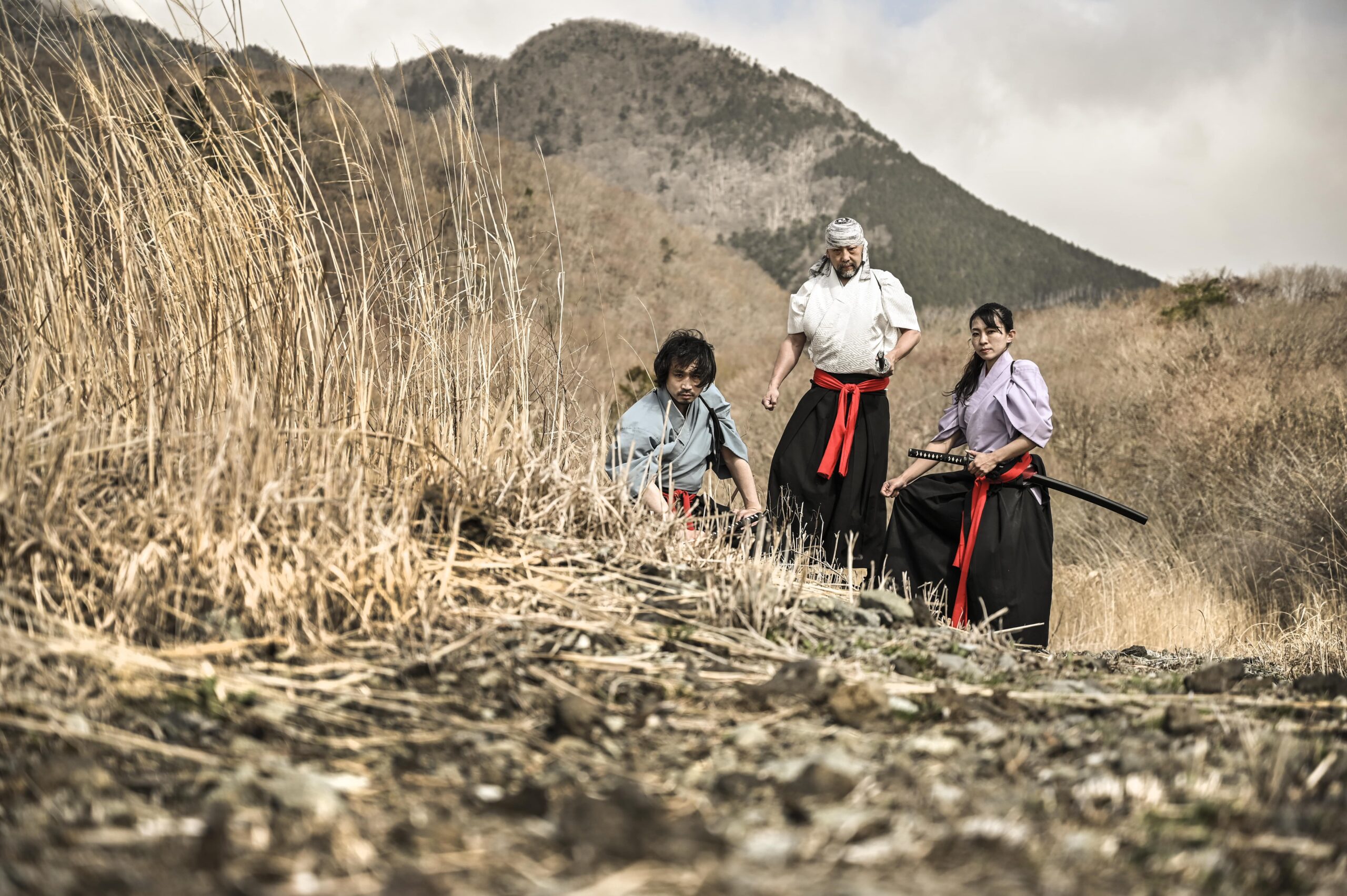 Portfolio - Samurai Artist Kamui and the Original Method of Tsurugi ...